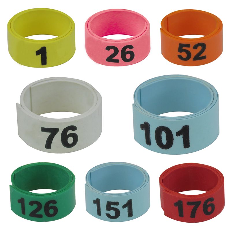 Numbered plastic bandettes