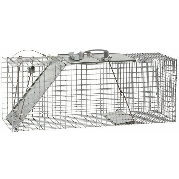 Piège à Ratons Laveurs Et Marmottes 32 X 12 X 10