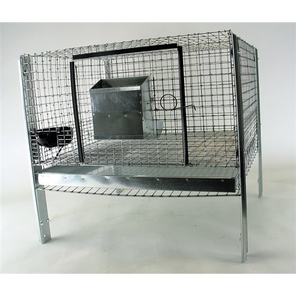 Cages with wire mesh sides