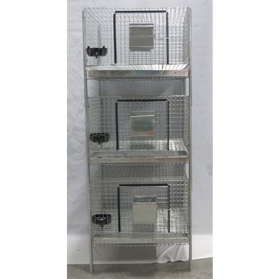 Cages with wire mesh sides