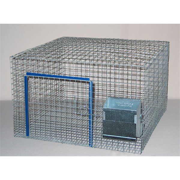 Wire Mesh Cage 24'' X 24''