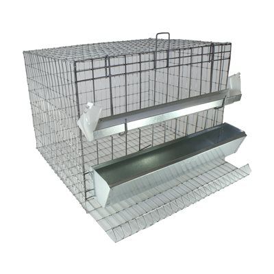 Cages à poules pondeuses